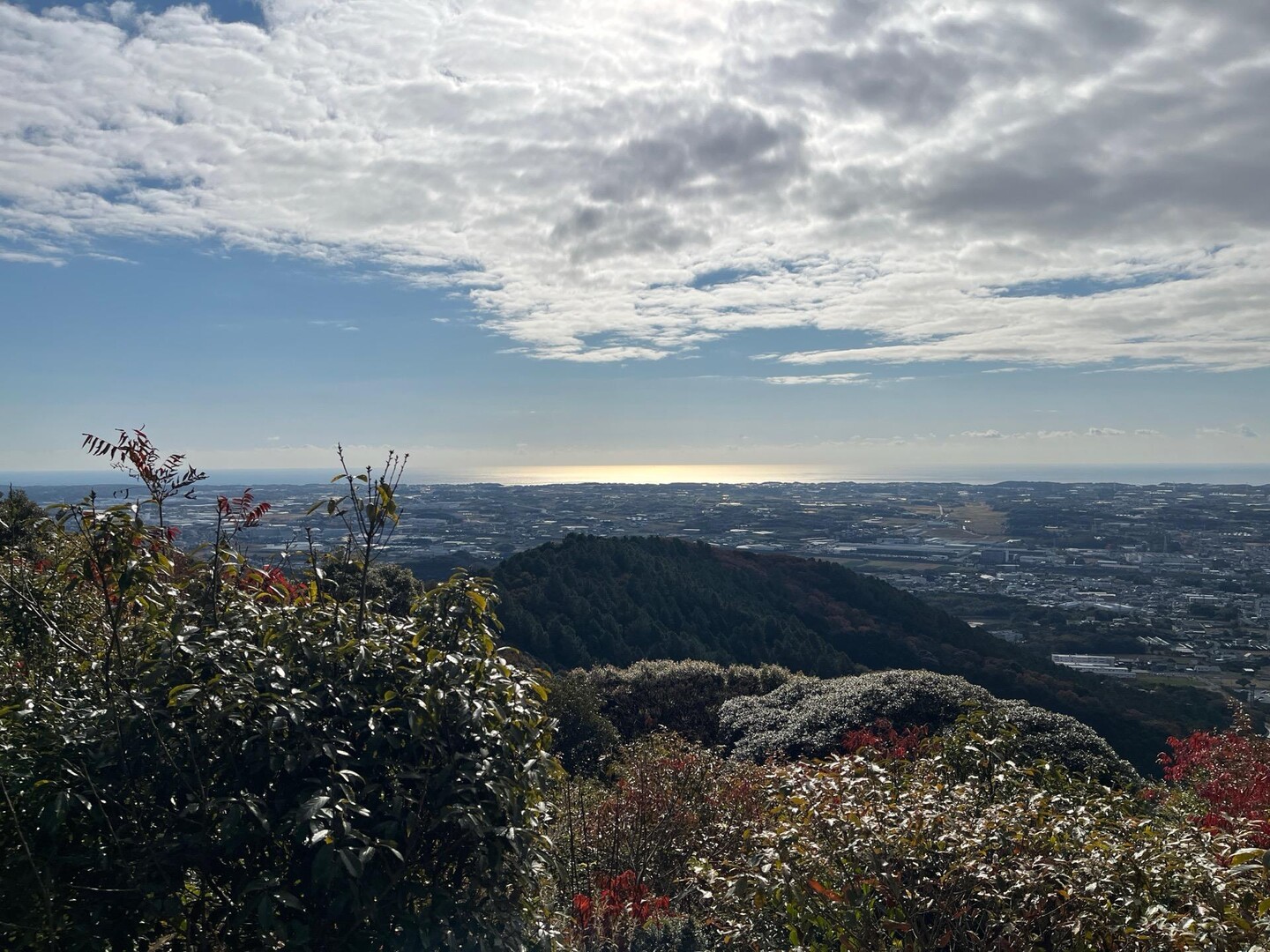 船形山・神石山 ・座談山・雲谷山 / ariさんの坊ヶ峰・石巻山・神石山・葦毛湿原の活動データ | YAMAP / ヤマップ