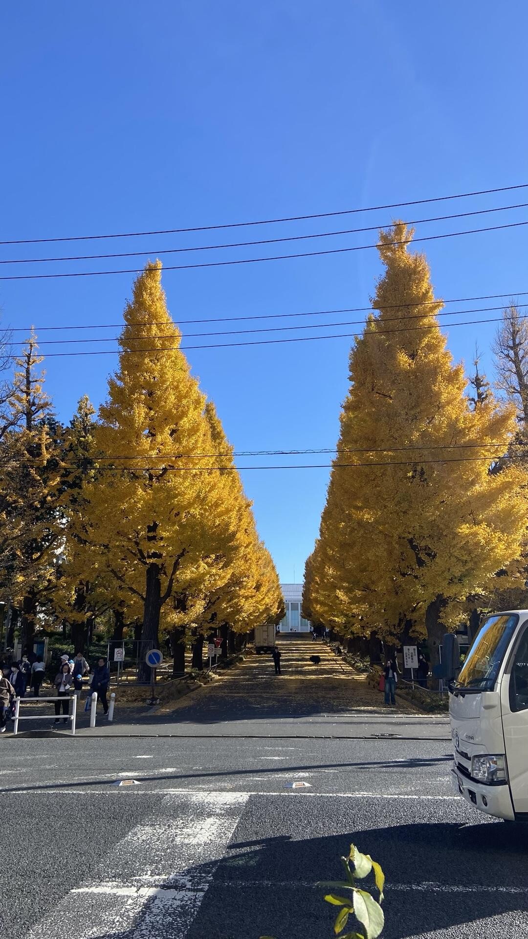 ちょっと寄り道してK.O.大学へ / だ〜やんさんのモーメント | YAMAP / ヤマップ