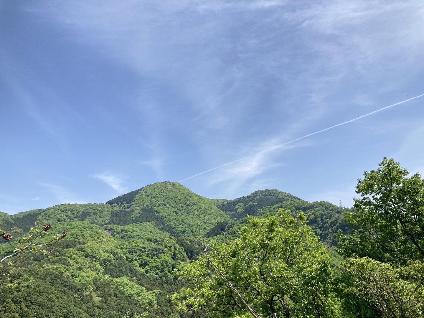 二上山（雌岳）＆屯鶴峯 / mamiさんの金剛山・二上山・大和葛城山の活動データ | YAMAP / ヤマップ