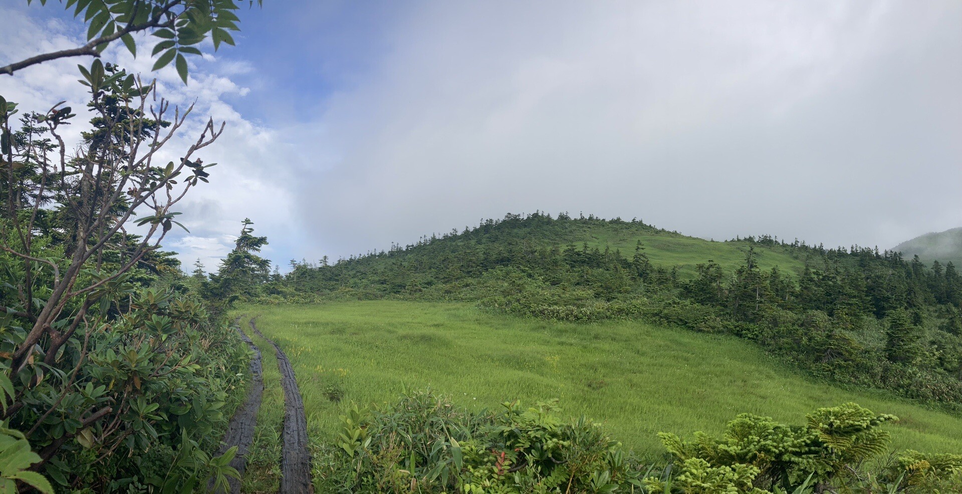 tsyamaさんの投稿したフィールドメモ | YAMAP / ヤマップ