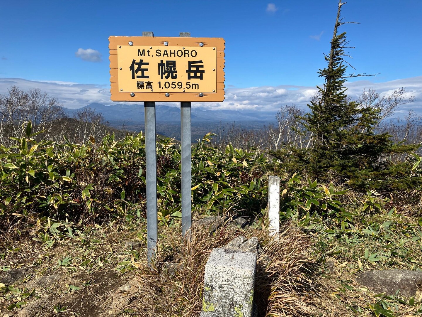 桜山・佐幌岳 / 747A/Cさんの佐幌岳の活動データ | YAMAP / ヤマップ