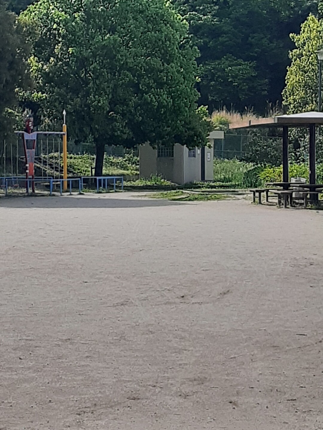 DSHさんの投稿したフィールドメモ | YAMAP / ヤマップ