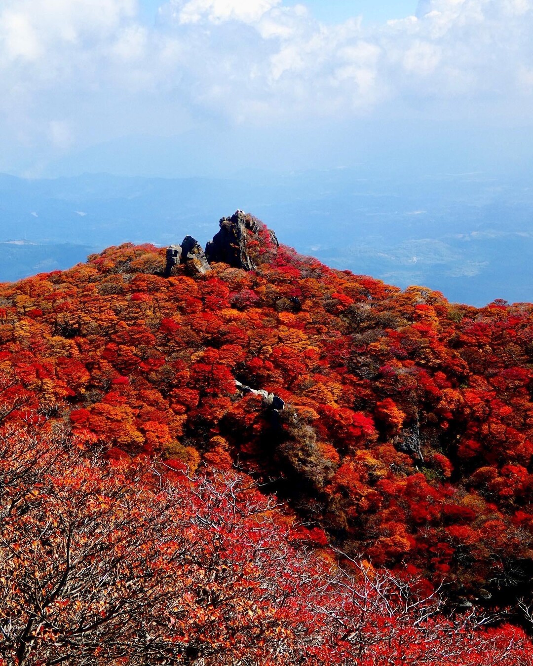 大船山・北大船山 / reeさんの九重山（久住山）・大船山・星生山の活動データ | YAMAP / ヤマップ