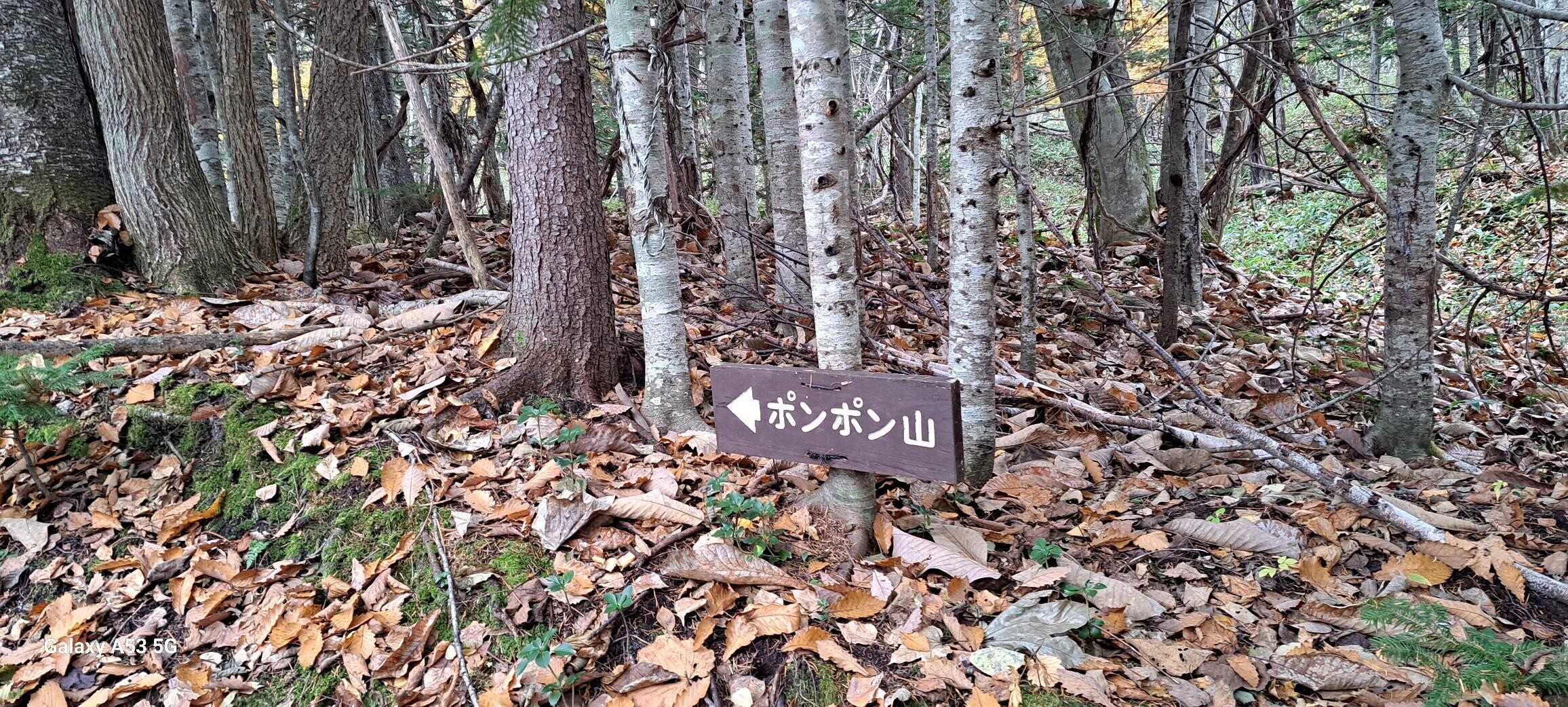 ポンポン山 / mojyaさんのポンポン山・硫黄山・屈斜路湖の活動データ | YAMAP / ヤマップ