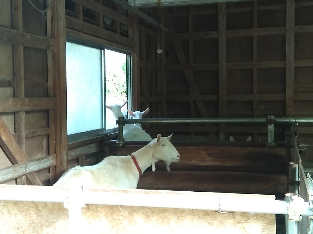 半年ぶりの、のんびり日ノ出山 / みーすけさんの大岳山・御岳山・御前山の活動データ | YAMAP / ヤマップ