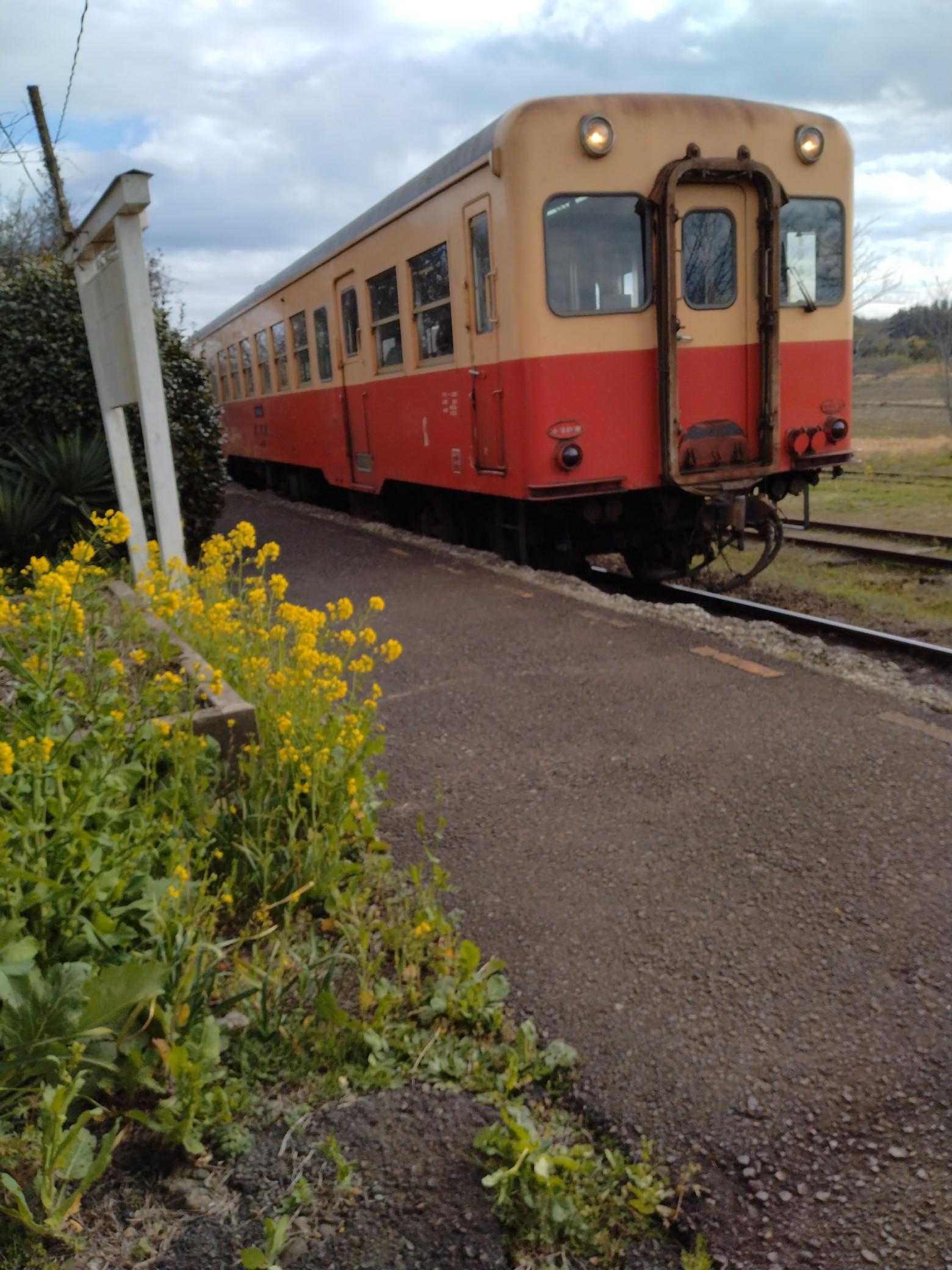 林道ウォーカーのページ | YAMAP / ヤマップ