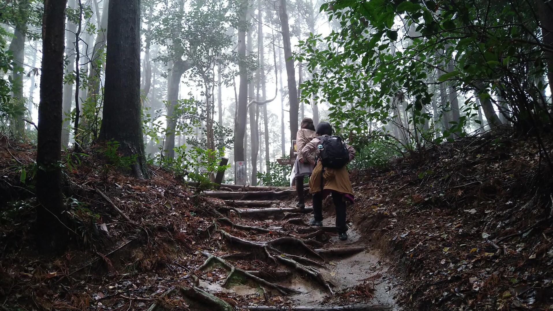 2305 chiezちゃんお初天拝山 / フェイさんの天拝山・基山の活動データ | YAMAP / ヤマップ