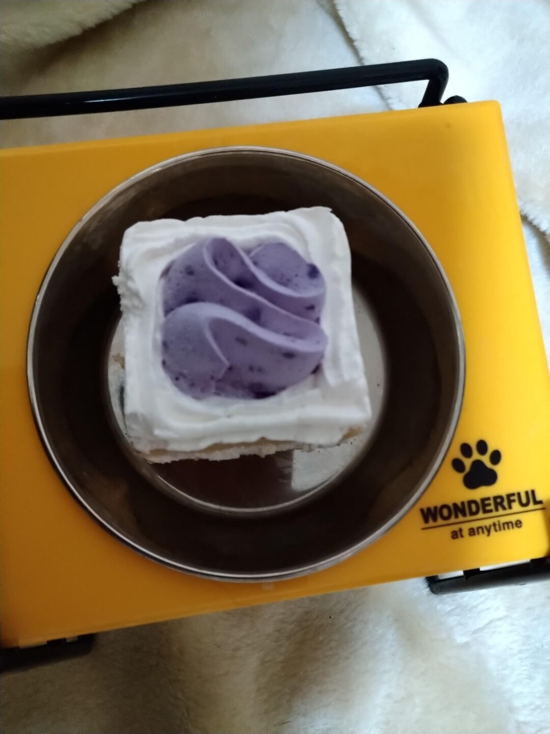 ワン・ツー・スリー 🎉大福 2nd B... / おもちさんのモーメント | YAMAP / ヤマップ