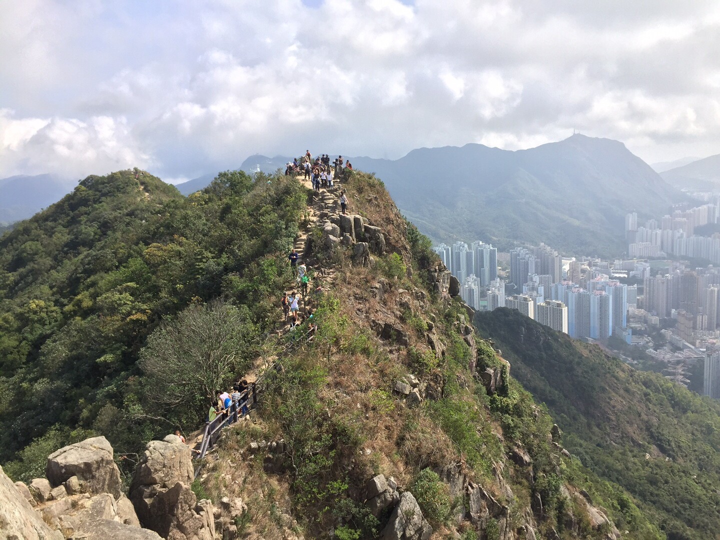 20190207獅子山 / Eno-chanさんのマクリホース・トレイルの活動データ | YAMAP / ヤマップ