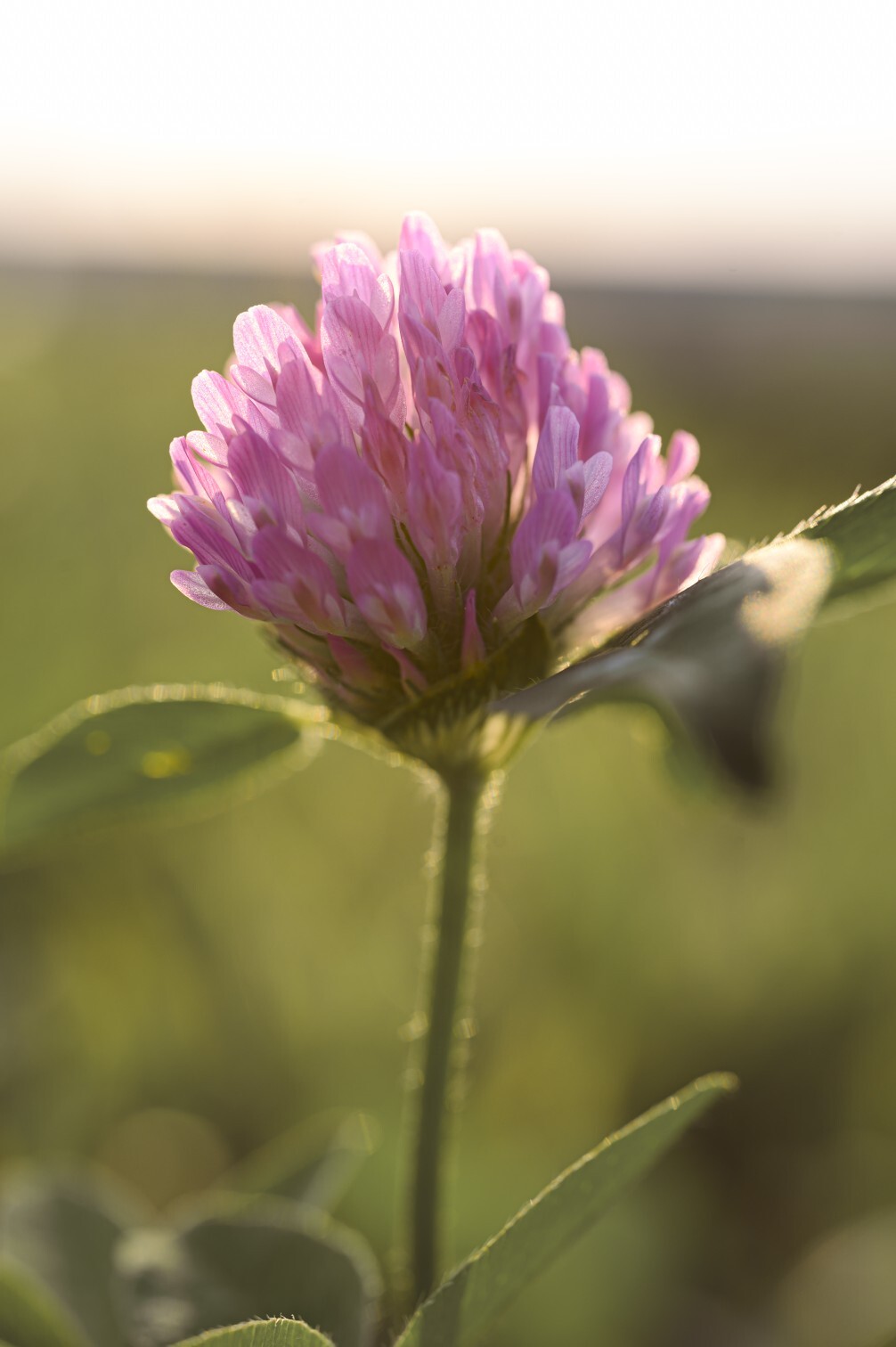 おはようございます 大丈夫 きっとうまく... / vlog_tottiyさんのモーメント | YAMAP / ヤマップ