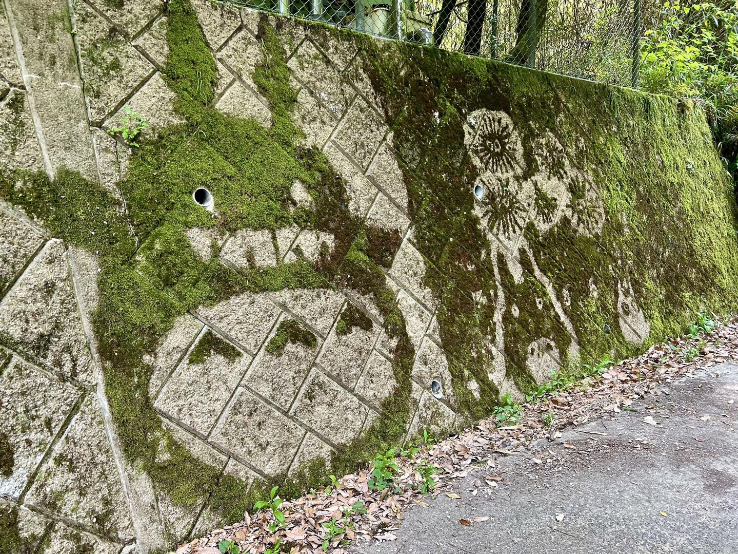 鬼取山・生駒山 / Sa_kkiyさんの生駒山・神津嶽・大原山の活動データ | YAMAP / ヤマップ