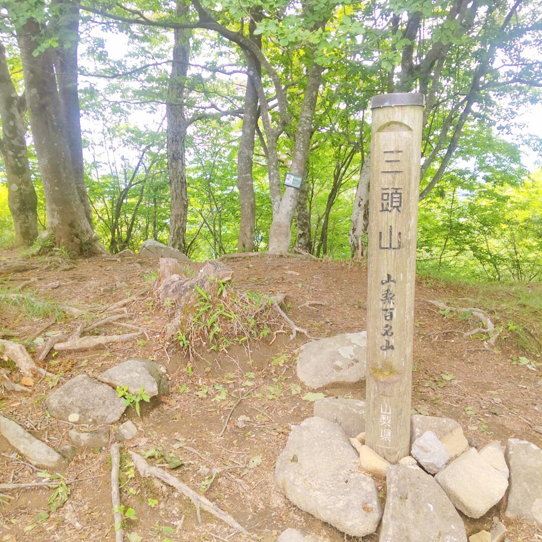 三頭山 / ryoko.134さんの三頭山・槇寄山・土俵岳の活動データ | YAMAP / ヤマップ