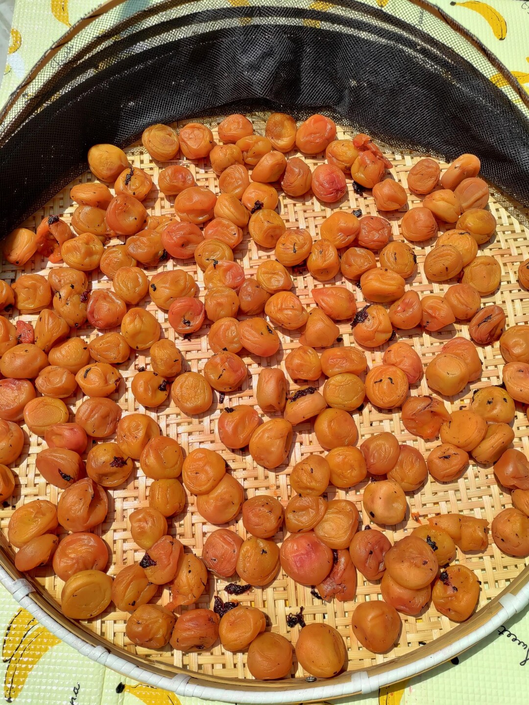 梅干し作りは今年で5回目かな（1回作れな... / MOMOさんのモーメント | YAMAP / ヤマップ