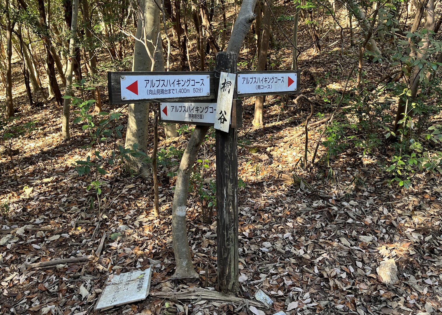 wtaxus わたくさすさんの投稿したフィールドメモ | YAMAP / ヤマップ