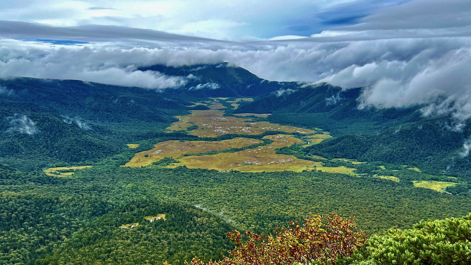 秋雨の中を燧ヶ岳 / George-Mさんの尾瀬・燧ヶ岳の活動データ | YAMAP / ヤマップ