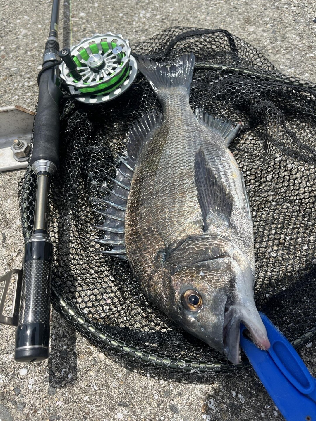 開幕！ 山は秋までお休みです / Shi Roさんのモーメント | YAMAP / ヤマップ