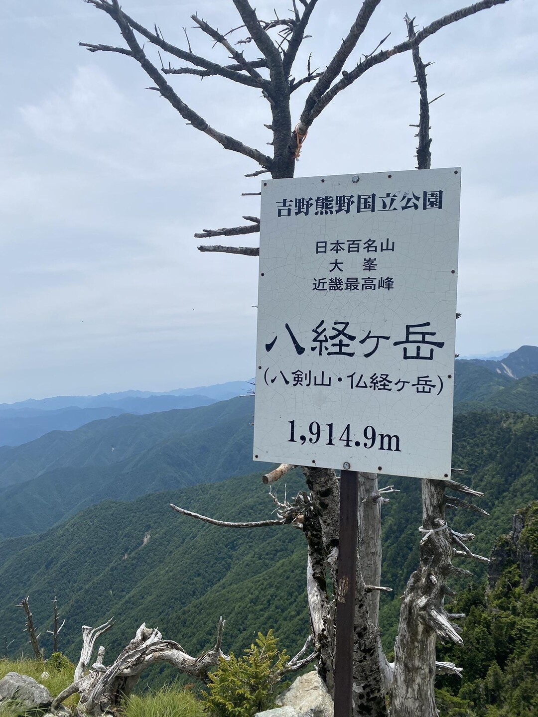 弁天ノ森・弥山・八経ヶ岳（八剣山・仏経ヶ岳） / rさんの八経ヶ岳の活動データ | YAMAP / ヤマップ