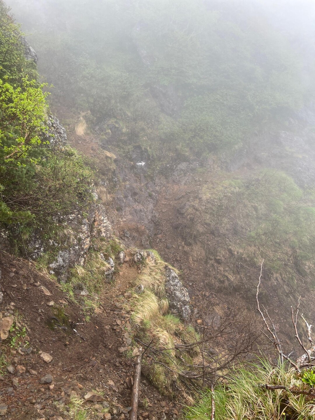 izumiさんの投稿したフィールドメモ | YAMAP / ヤマップ