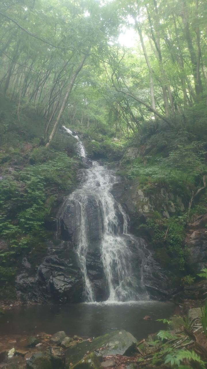 福田頭（毛無山）-2023-06-21 / タッキーさんの福田頭（毛無山）の活動データ | YAMAP / ヤマップ