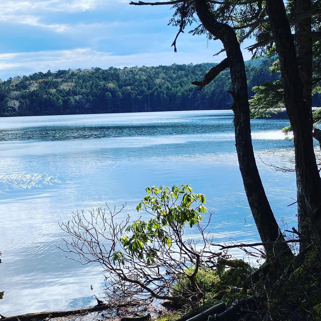 土日＋月曜有給で長野と山梨を1人ドライブ... / Jinさんのモーメント | YAMAP / ヤマップ