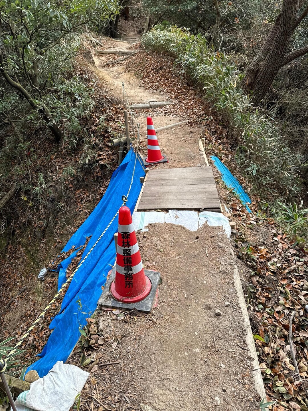 EIさんの投稿したフィールドメモ | YAMAP / ヤマップ