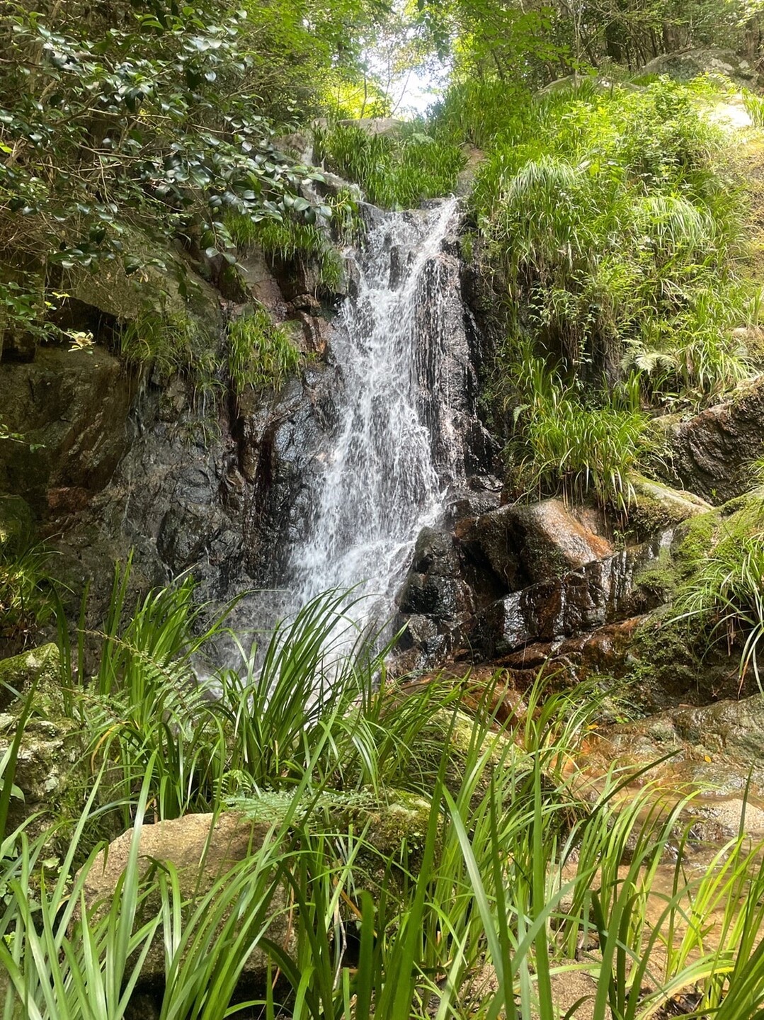 裏宝満山 / h88♡さんの宝満山・三郡山・若杉山の活動データ | YAMAP / ヤマップ