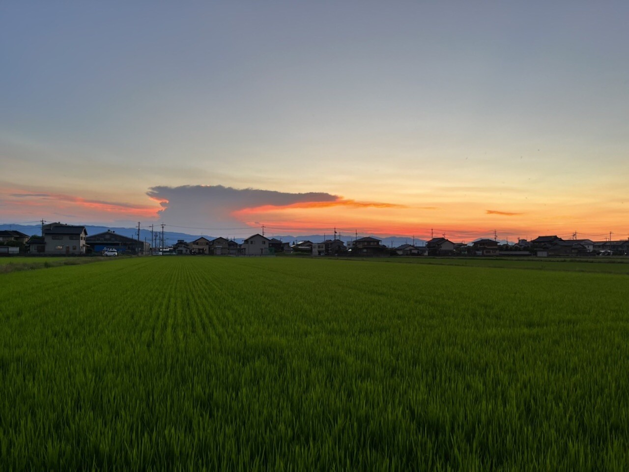 rinpeのページ | YAMAP / ヤマップ