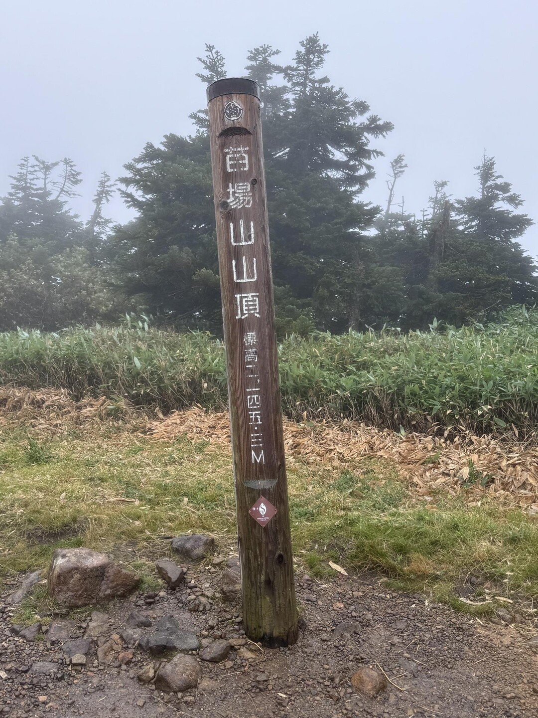 苗場山 新潟遠征Day2 / syu8_PPさんの苗場山・赤倉山・佐武流山の活動データ | YAMAP / ヤマップ