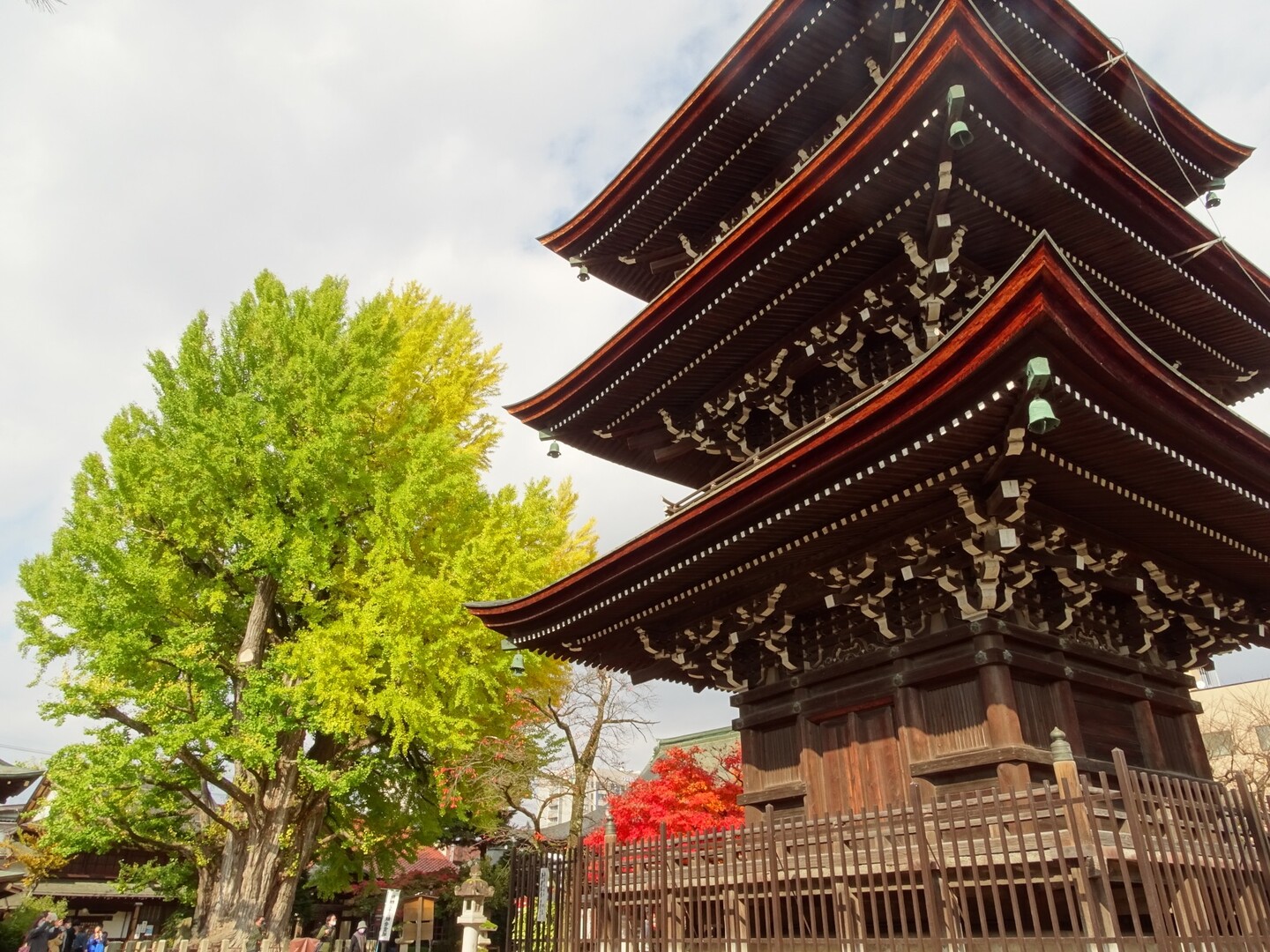 GoToの2日目。 今日は高山市内を散策... / もがもがさんのモーメント | YAMAP / ヤマップ