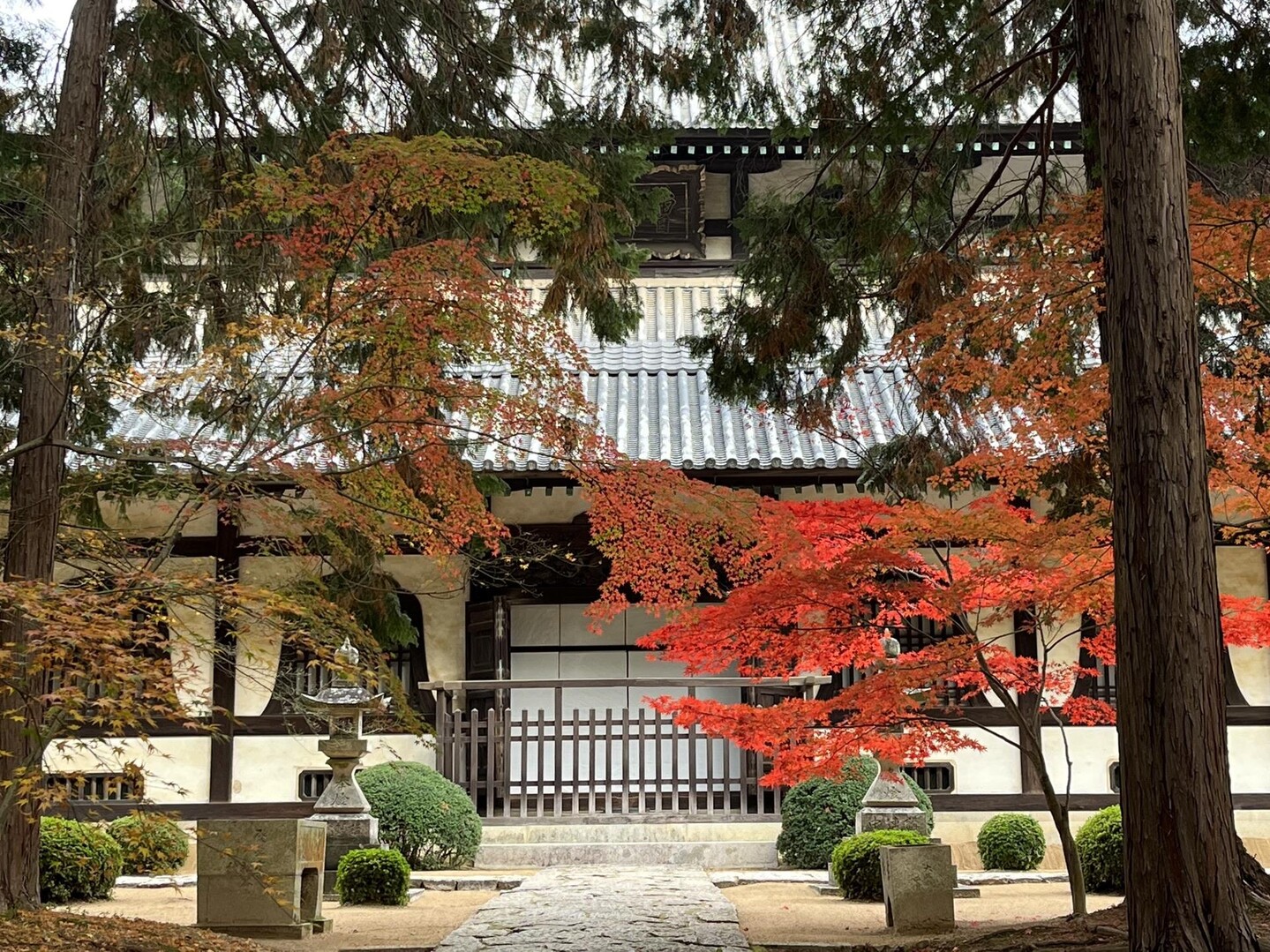 今日は 足を痛めたお友達と 落ち葉拾いの... / kyoh-co55さんのモーメント | YAMAP / ヤマップ