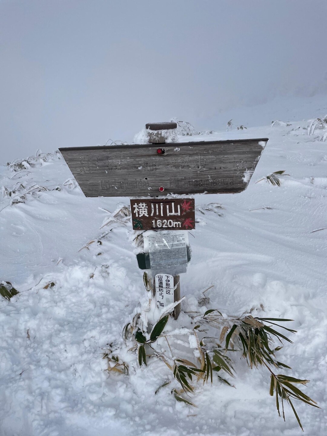 南沢山・横川山 / golfbakaさんの恵那山・大判山・神坂山の活動データ | YAMAP / ヤマップ