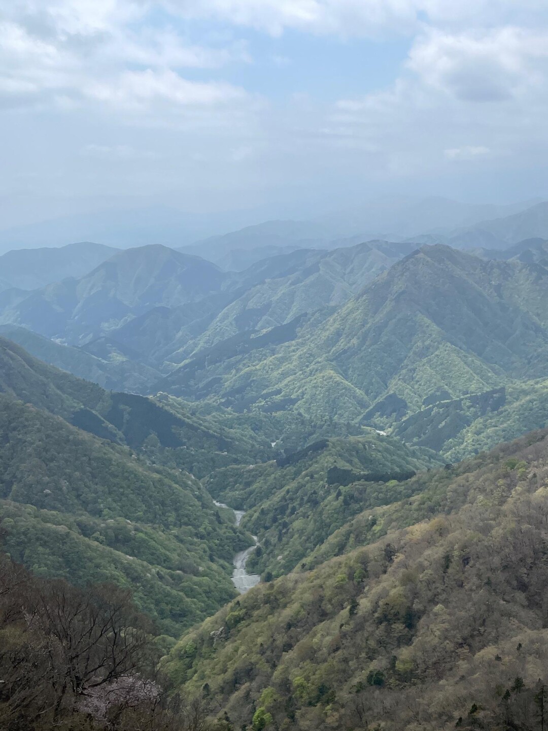 檜洞丸・熊笹ノ峰・大笄・小笄 / ブラウンさんさんの丹沢山の活動データ | YAMAP / ヤマップ