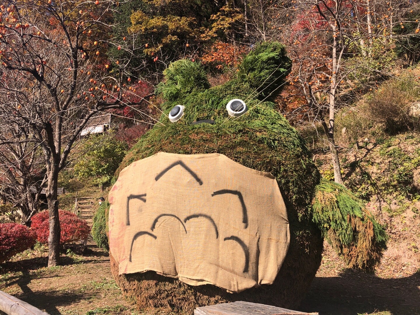 トトロに会いにどんぐり山へ-慈光院〜都幾山 / mochaさんの堂平山・笠山（乳房山）・大霧山の活動日記 | YAMAP / ヤマップ