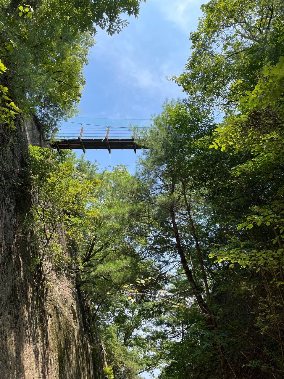 善防山・笠松山 / gussanさんの加西アルプス・笠松山・善防山の活動データ | YAMAP / ヤマップ