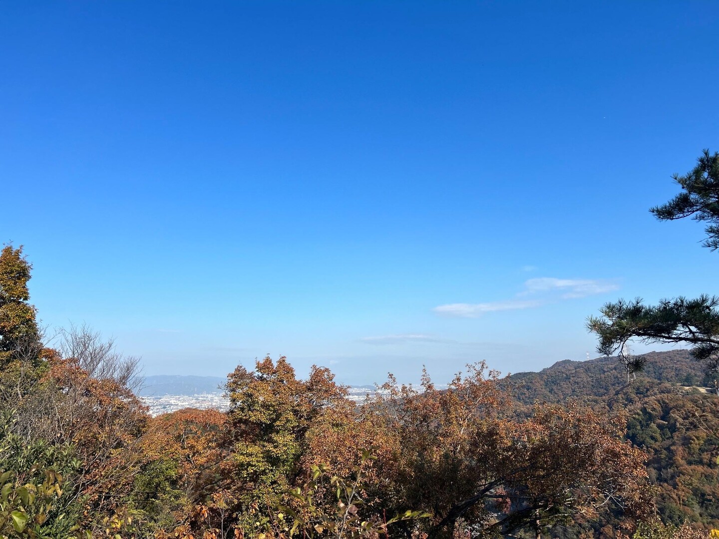 ぷーさん5646さんの投稿したフィールドメモ | YAMAP / ヤマップ