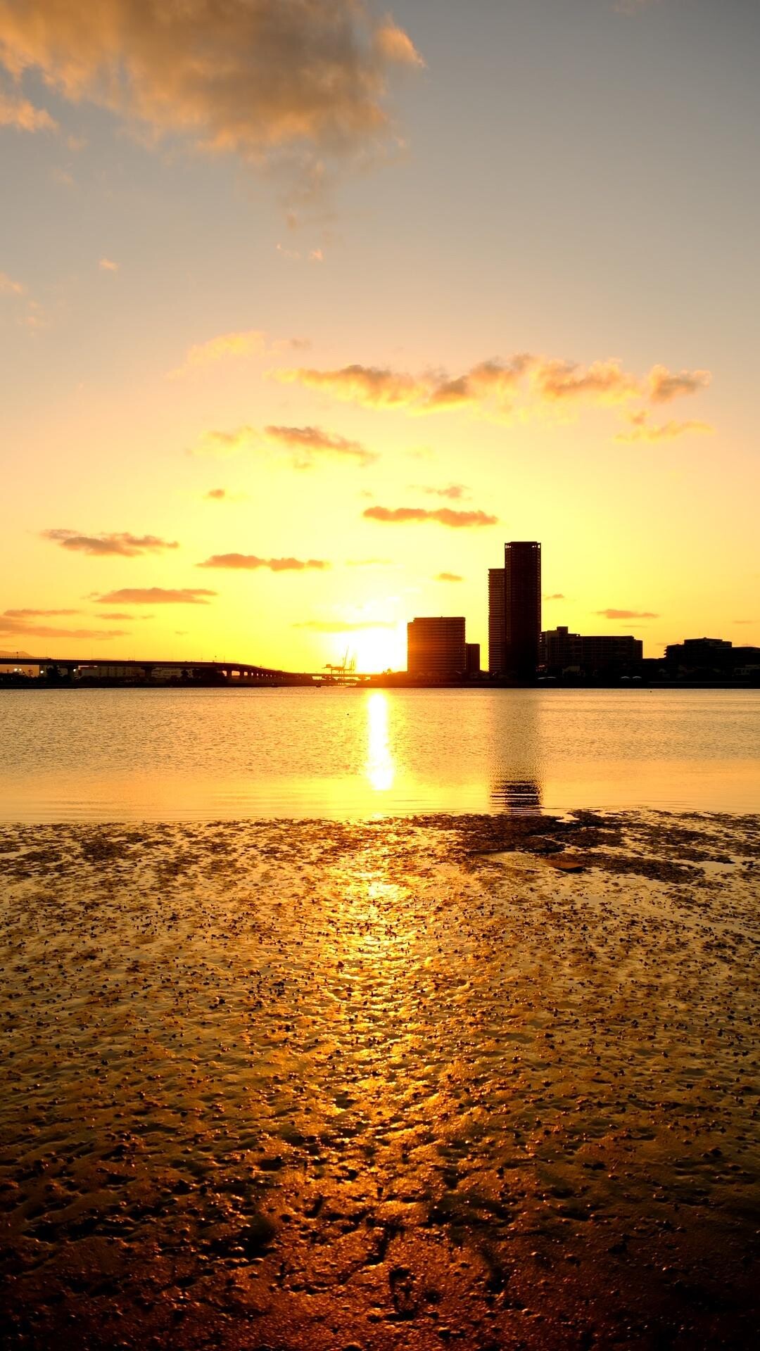 ひざの再生医療ネタも飽きてきたと思うので... / Samさんのモーメント | YAMAP / ヤマップ