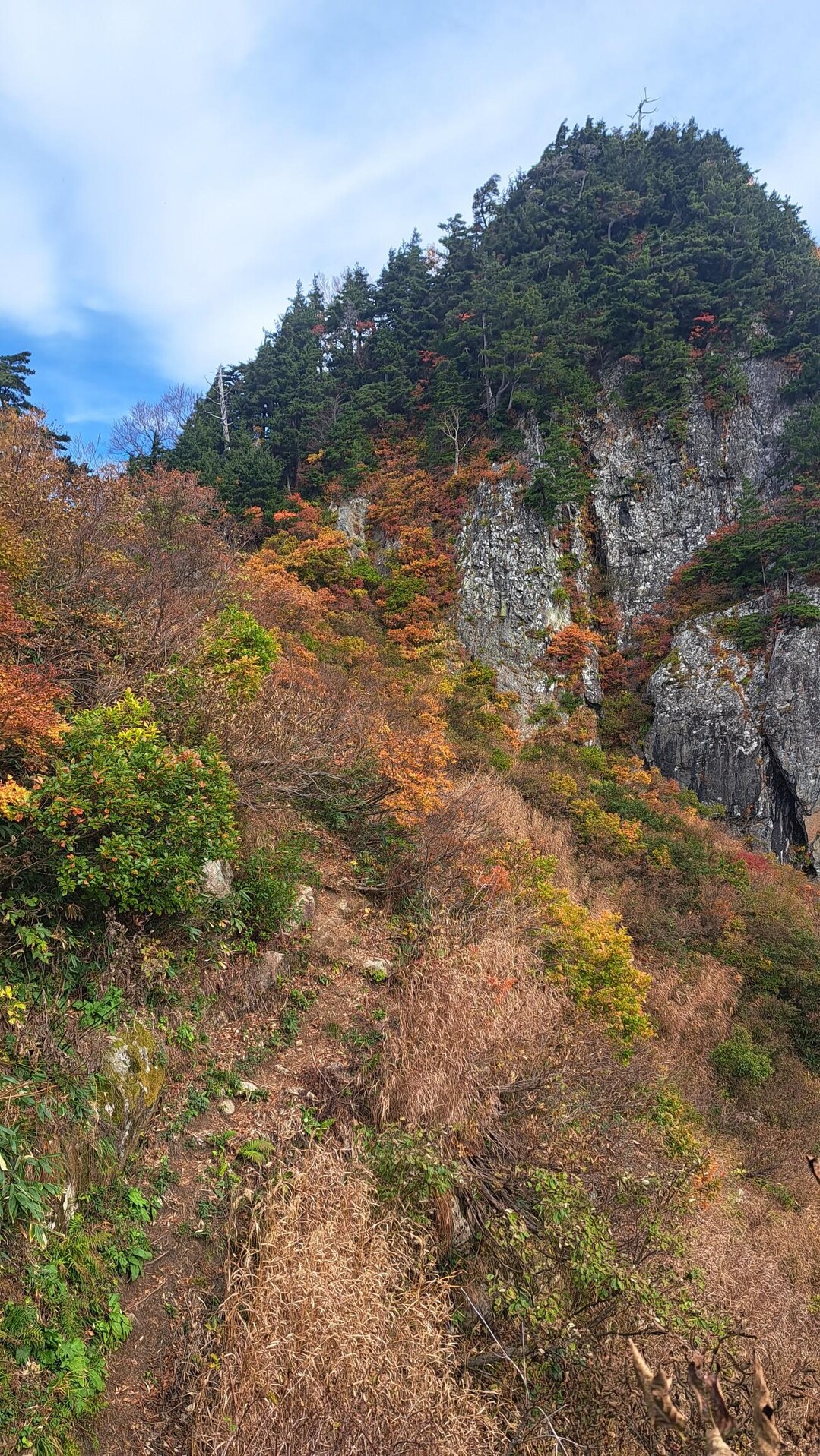 飯豊縦走🍁 ダイグラ→丸森尾根 / NatuMounさんの飯豊山・大日岳・御西岳の活動データ | YAMAP / ヤマップ