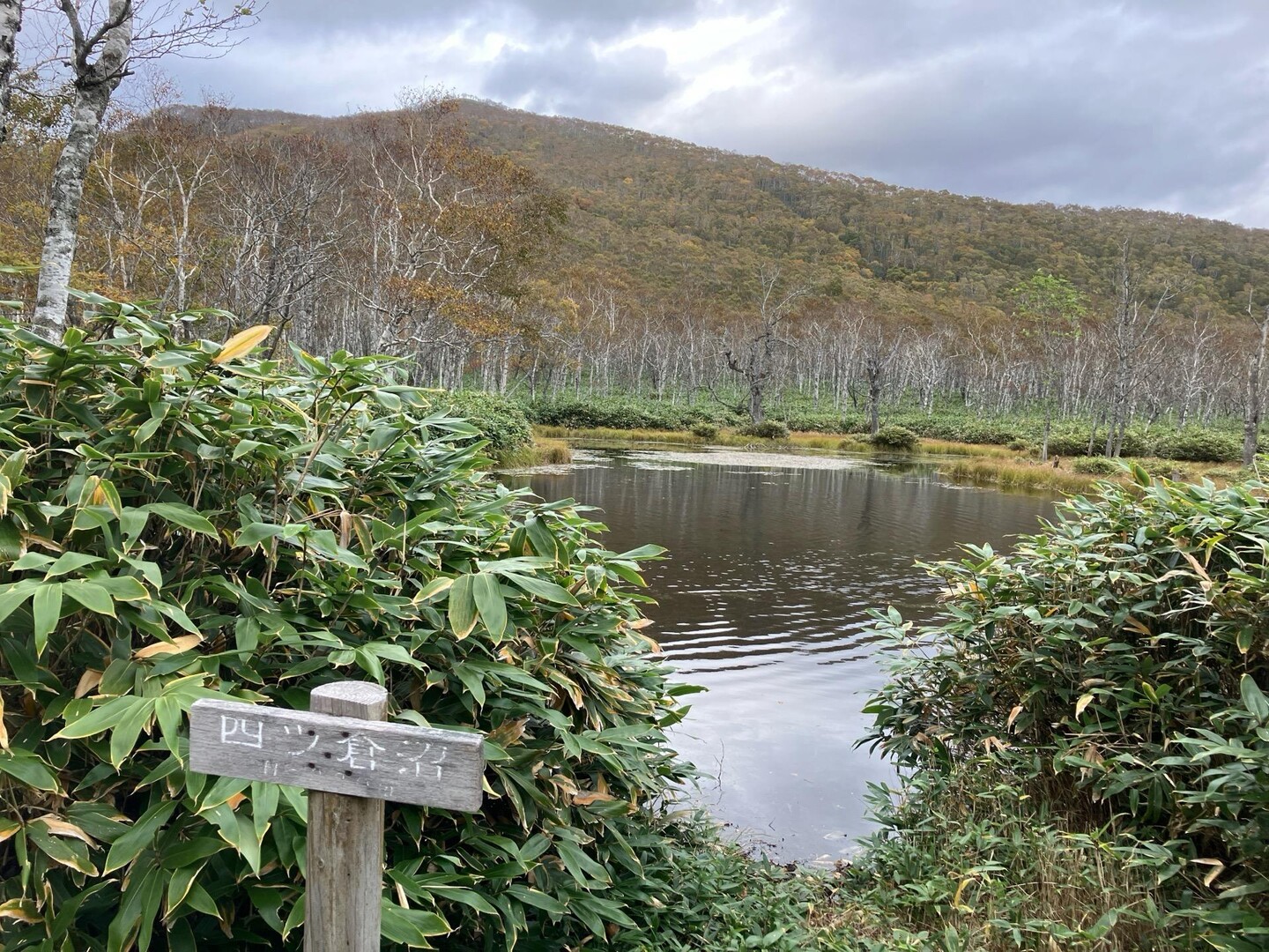 無念の英嶺山撤退 / 747A/Cさんの羅臼岳・硫黄山（知床）・羅臼湖の活動データ | YAMAP / ヤマップ