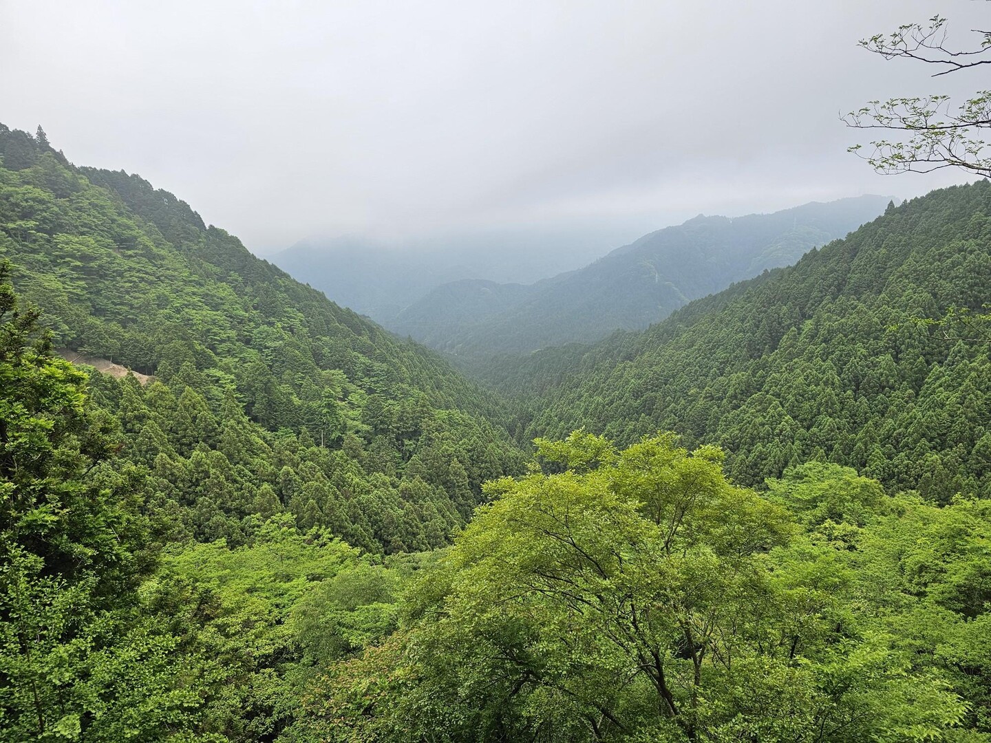 錫杖ヶ岳 / MMさんの錫杖ヶ岳の活動データ | YAMAP / ヤマップ