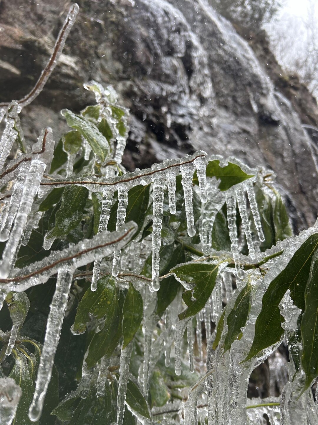 仏頂山・宝満山 / June🫘さんの宝満山・三郡山・若杉山の活動日記 | YAMAP / ヤマップ