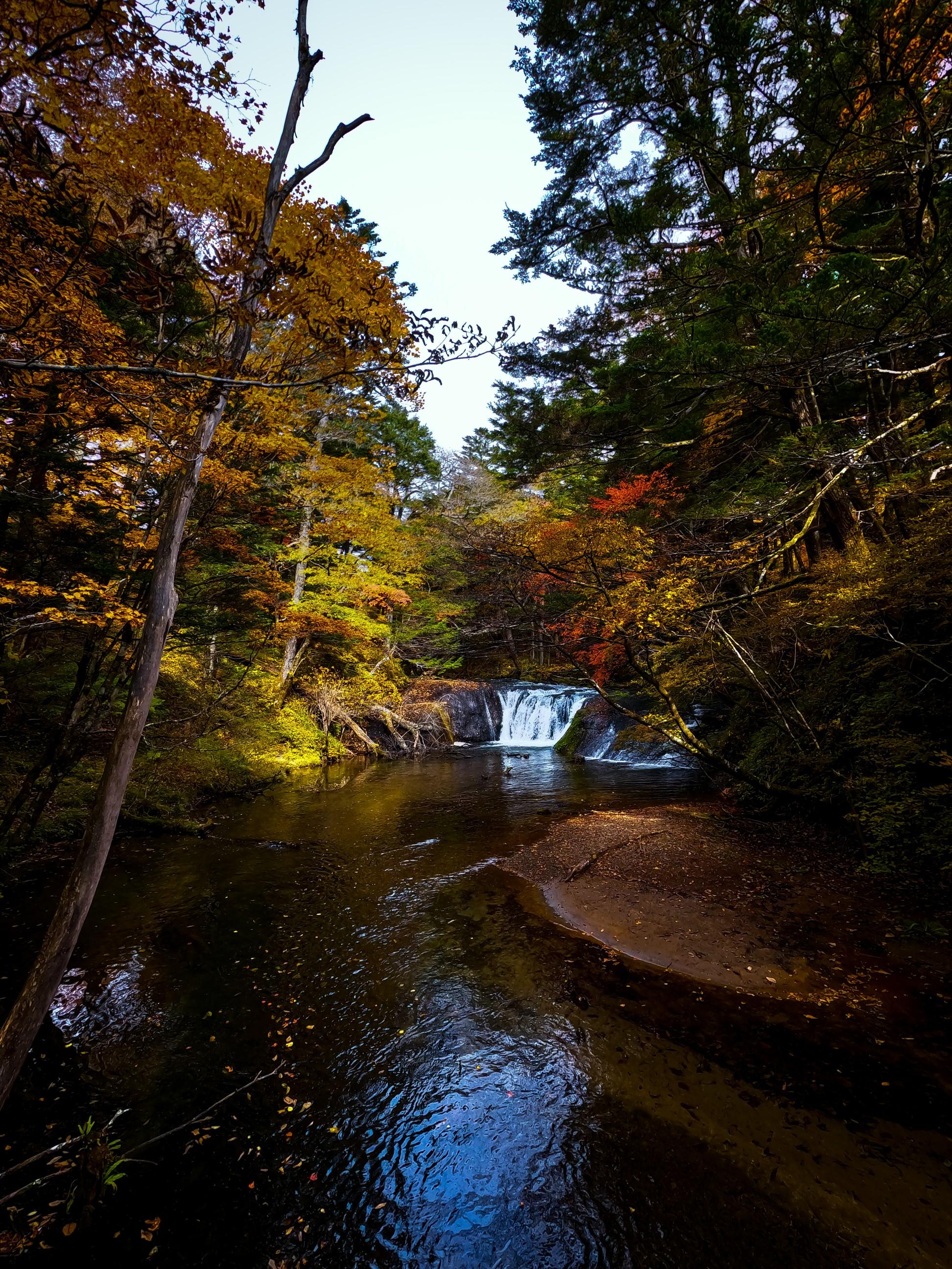 戦場ヶ原山歩-2023-10-20 / ☆WHITE FOX彡さんの男体山の活動日記 | YAMAP / ヤマップ