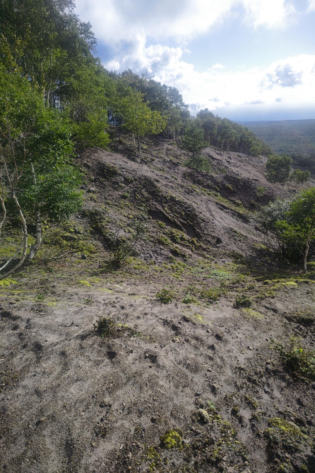 DSIさんの投稿したフィールドメモ | YAMAP / ヤマップ