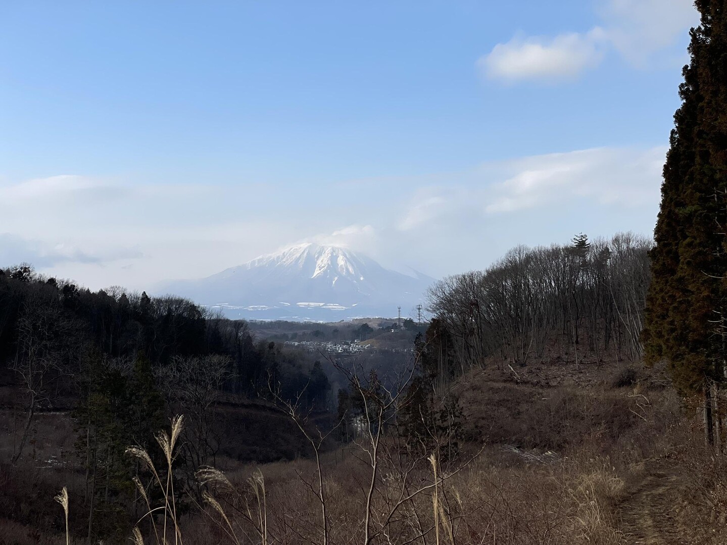 たかほらやま / junpeiさんの高洞山の活動データ | YAMAP / ヤマップ