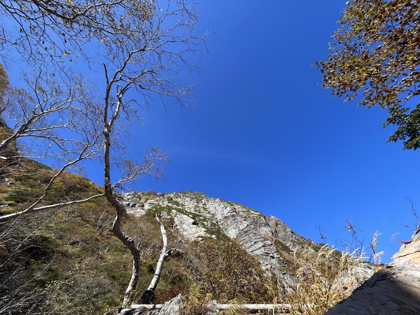 北岳 八本歯のコル〜山頂〜草すべり 日帰り / momiさんの北岳・間ノ岳・農鳥岳の活動データ | YAMAP / ヤマップ