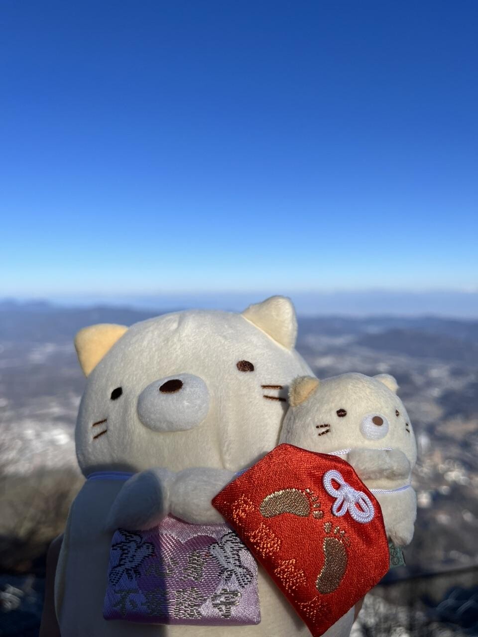 SSMのページ | YAMAP / ヤマップ