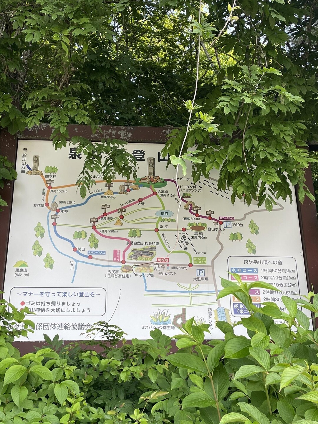 初登山。初心者向けの水神コースを選んだの... / さとこさんのモーメント | YAMAP / ヤマップ