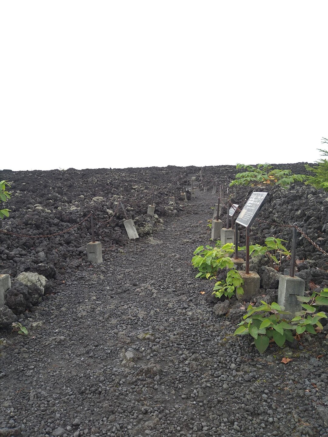 熔岩歩き！ / nyahoさんの岩手山・黒倉山・鞍掛山の活動データ | YAMAP / ヤマップ
