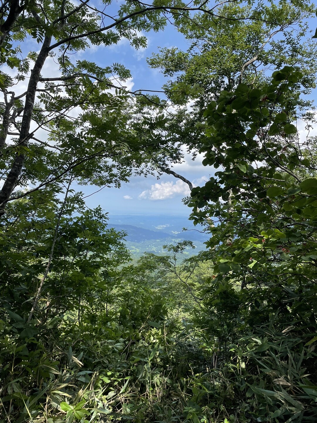 RYOさんの投稿したフィールドメモ | YAMAP / ヤマップ