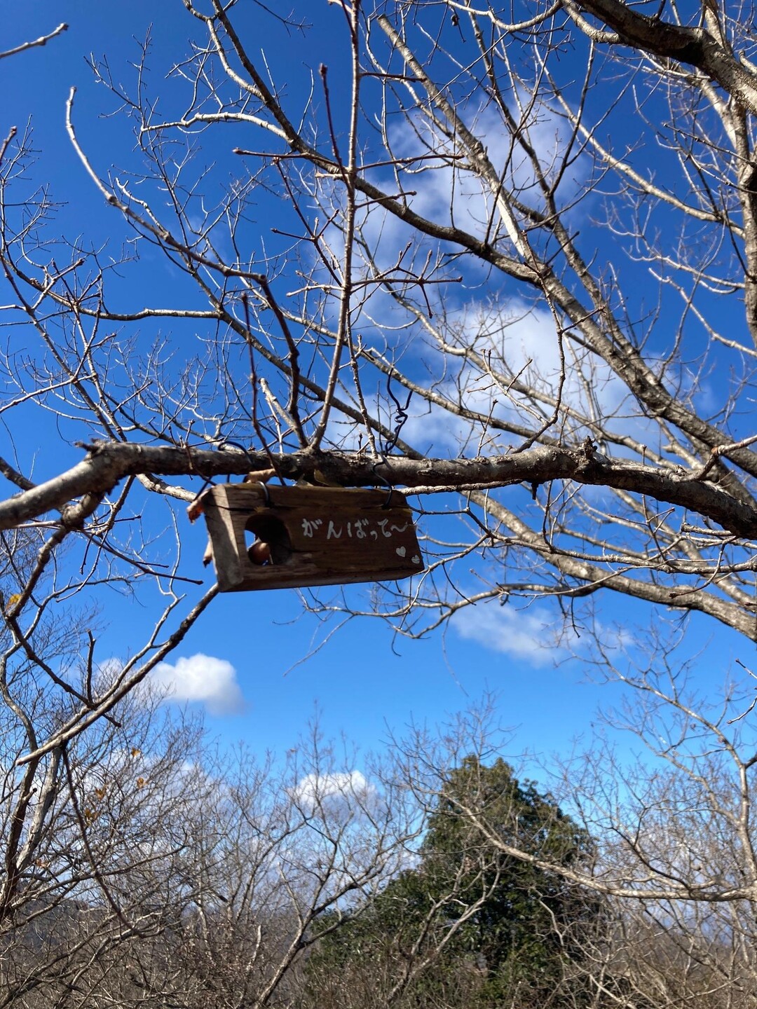 高山・前山・愛宕山・安場山・総山・アンテナ山・惣山(小野富士)・紅山 / nori0125さんの小野アルプス（紅山・惣山）の活動日記 | YAMAP / ヤマップ