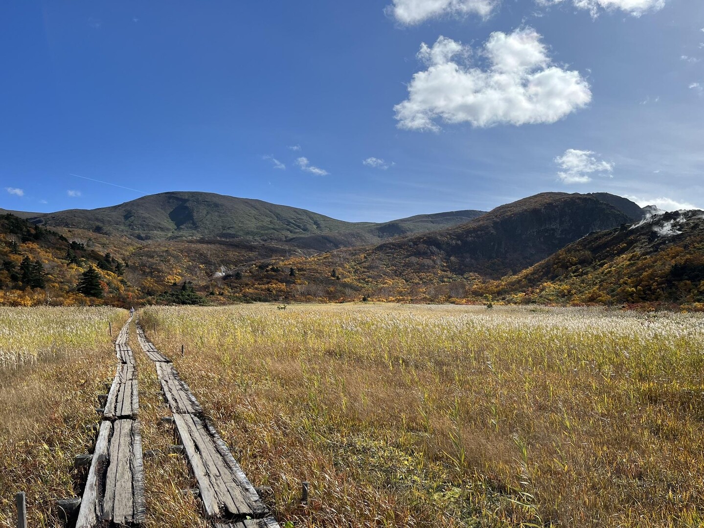 秋の栗駒山周回 / yu-yaさんの栗駒山（須川岳）・秣岳・虚空蔵山の活動データ | YAMAP / ヤマップ